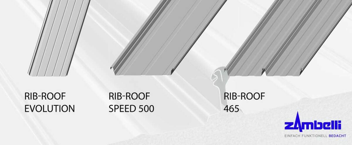 Zambelli Rib Roof