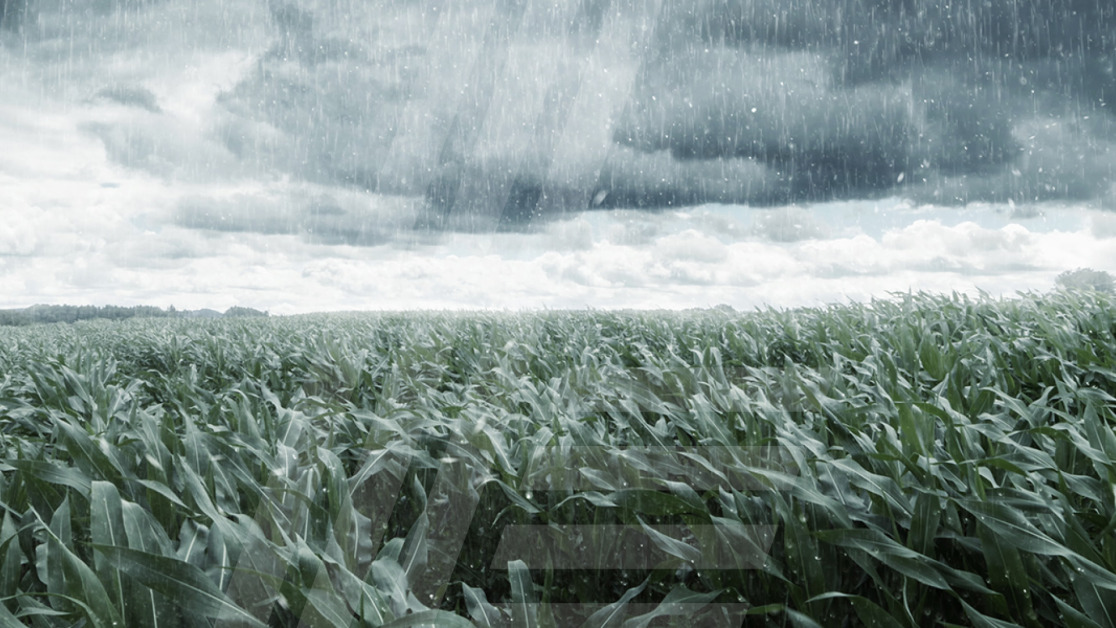 LAMILUX insights – Der Klimawandel und Extremwetterereignisse: einfach ...